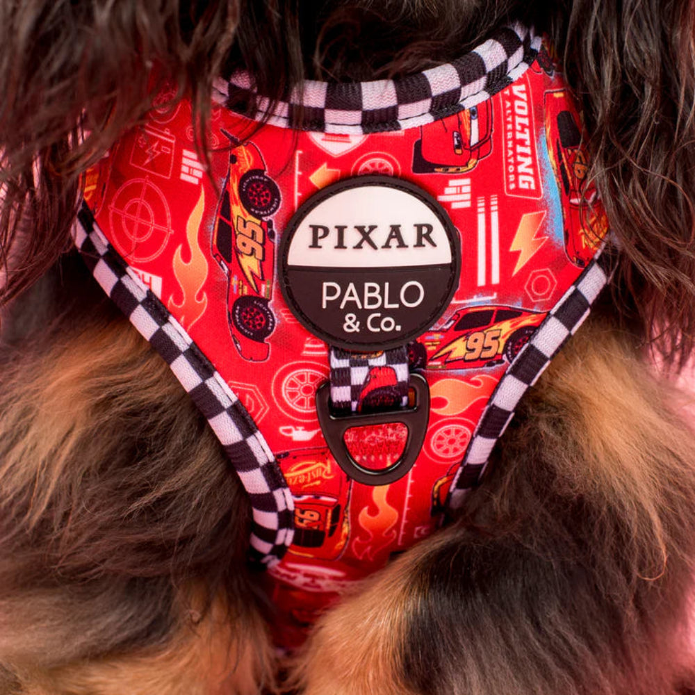 Pablo & Co Adjustable Harness Cars – Upmarket Pets Melbourne