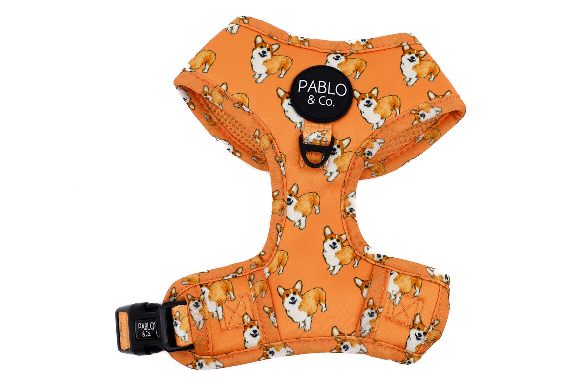 Pablo & Co Adjustable Harness Corgi – Upmarket Pets Melbourne