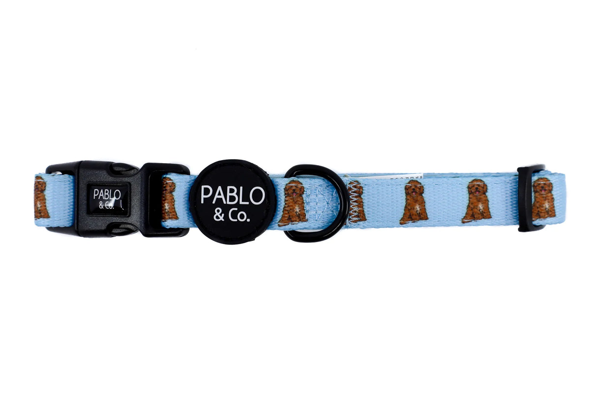 Pablo & Co - Cavoodle Dog Collar – Upmarket Pets Melbourne