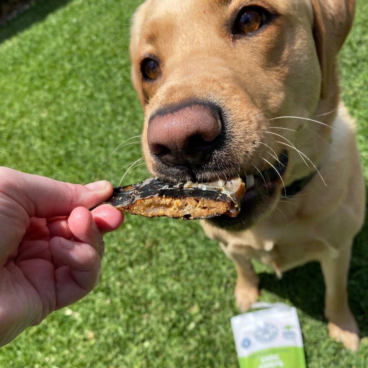 Kirby Pet Treats - Croc Crisps – Upmarket Pets Melbourne