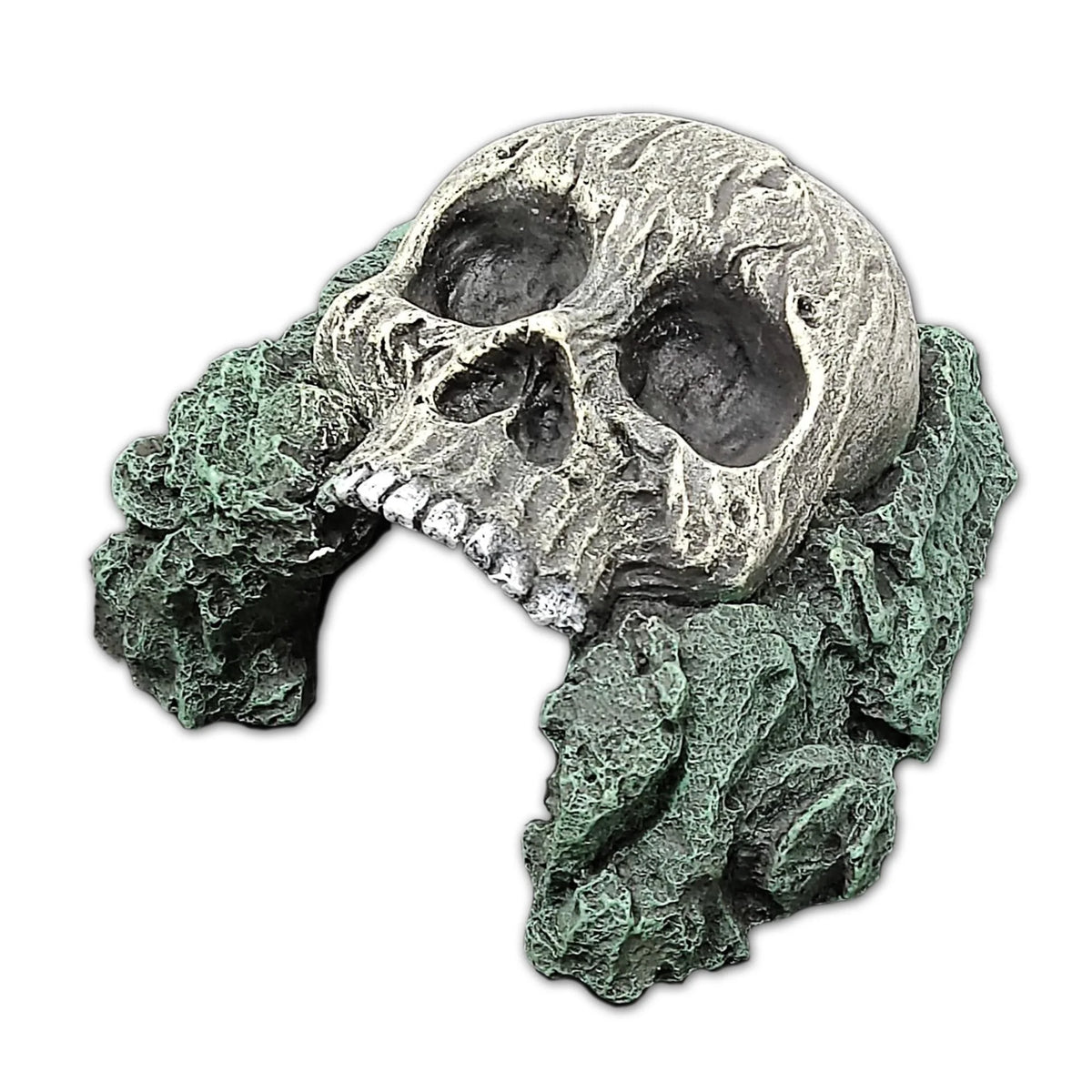 Human Skull Hide – Upmarket Pets Melbourne