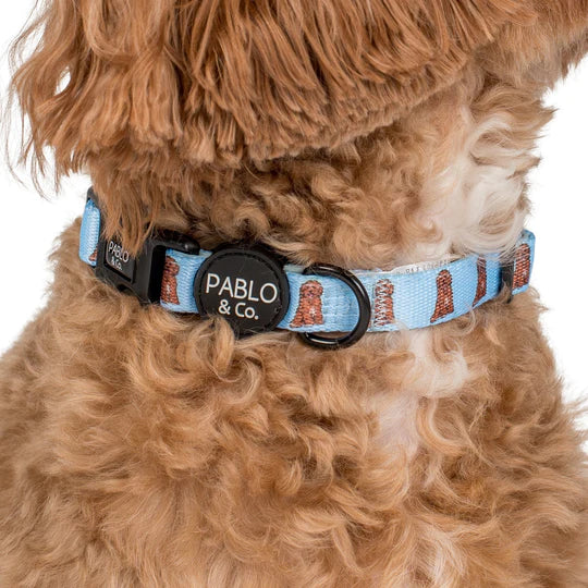 Pablo & Co - Cavoodle Dog Collar – Upmarket Pets Melbourne