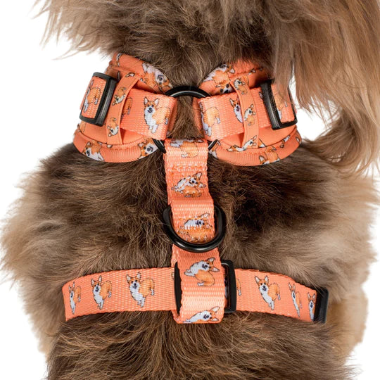 Pablo & Co Adjustable Harness Corgi – Upmarket Pets Melbourne