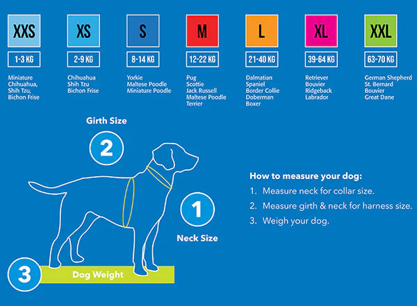 Rogz Classic Collar Padded – Upmarket Pets Melbourne