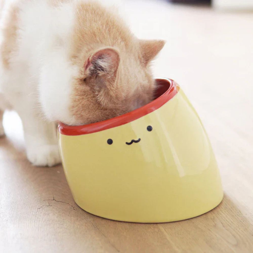 Shop Cat Bowls | Purroom Pudding-Shaped Elevated Slanted Bowl ...