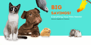 Best Pet Store in Melbourne | Online Pet Supplies Australia – Upmarket ...