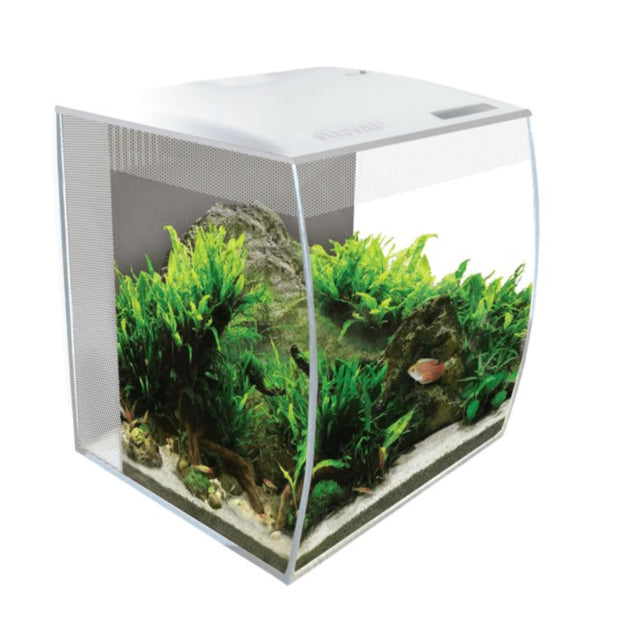 Fluval Flex Aquarium – Upmarket Pets Melbourne