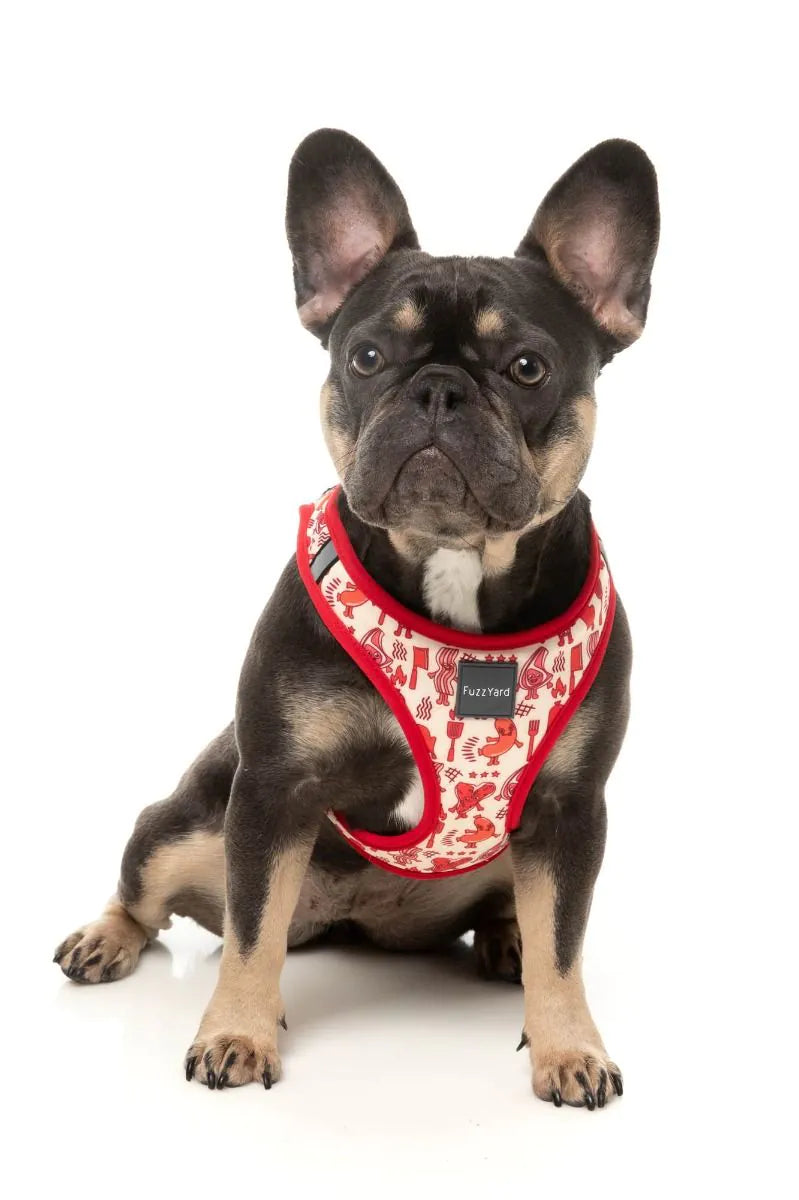 FuzzYard Step In Harness - Meat Heads – Upmarket Pets Melbourne