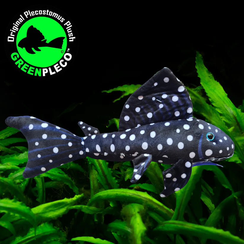 Fish Plushie - Vampire Pleco 28cm – Upmarket Pets Melbourne