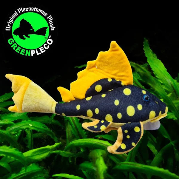 Fish Plushie - Sunshine Pleco 30cm – Upmarket Pets Melbourne