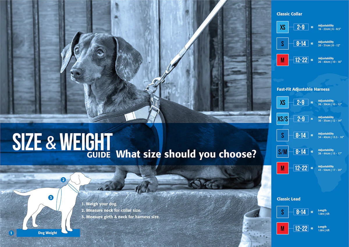 Rogz Urban Classic Lead – Upmarket Pets Melbourne