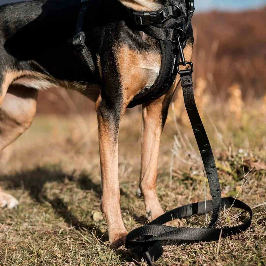 Stylish Hound Leash 2.5cm x 150cm – Upmarket Pets Melbourne