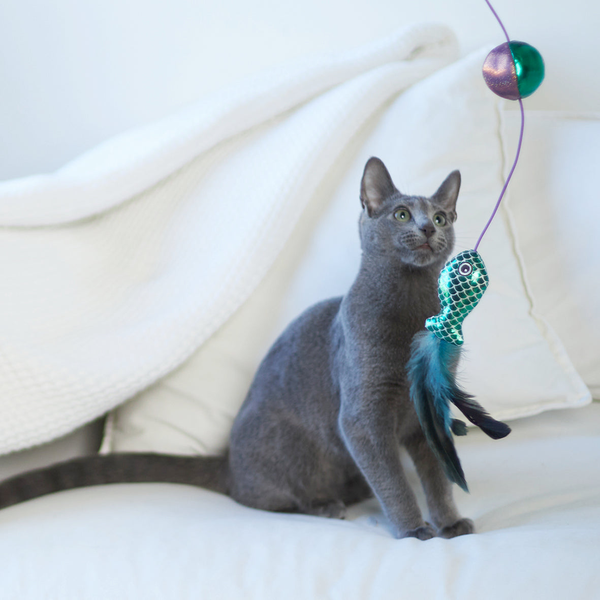 Ripple Fish Wand – Upmarket Pets Melbourne