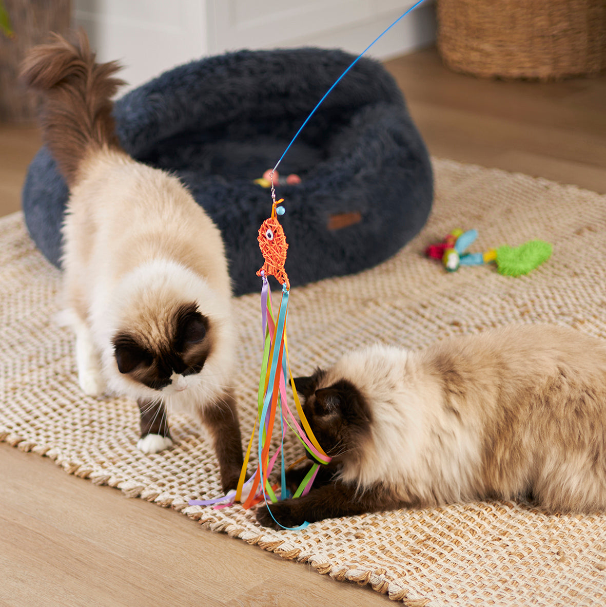 Streamer Fish Wand – Upmarket Pets Melbourne