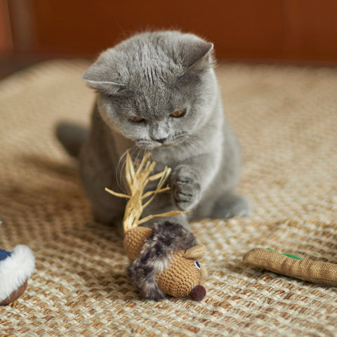 Sneaky Mouse – Upmarket Pets Melbourne