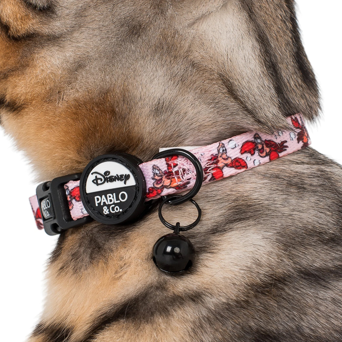 Pablo & Co Cat Collar The Little Mermaid - Sebastian – Upmarket Pets ...