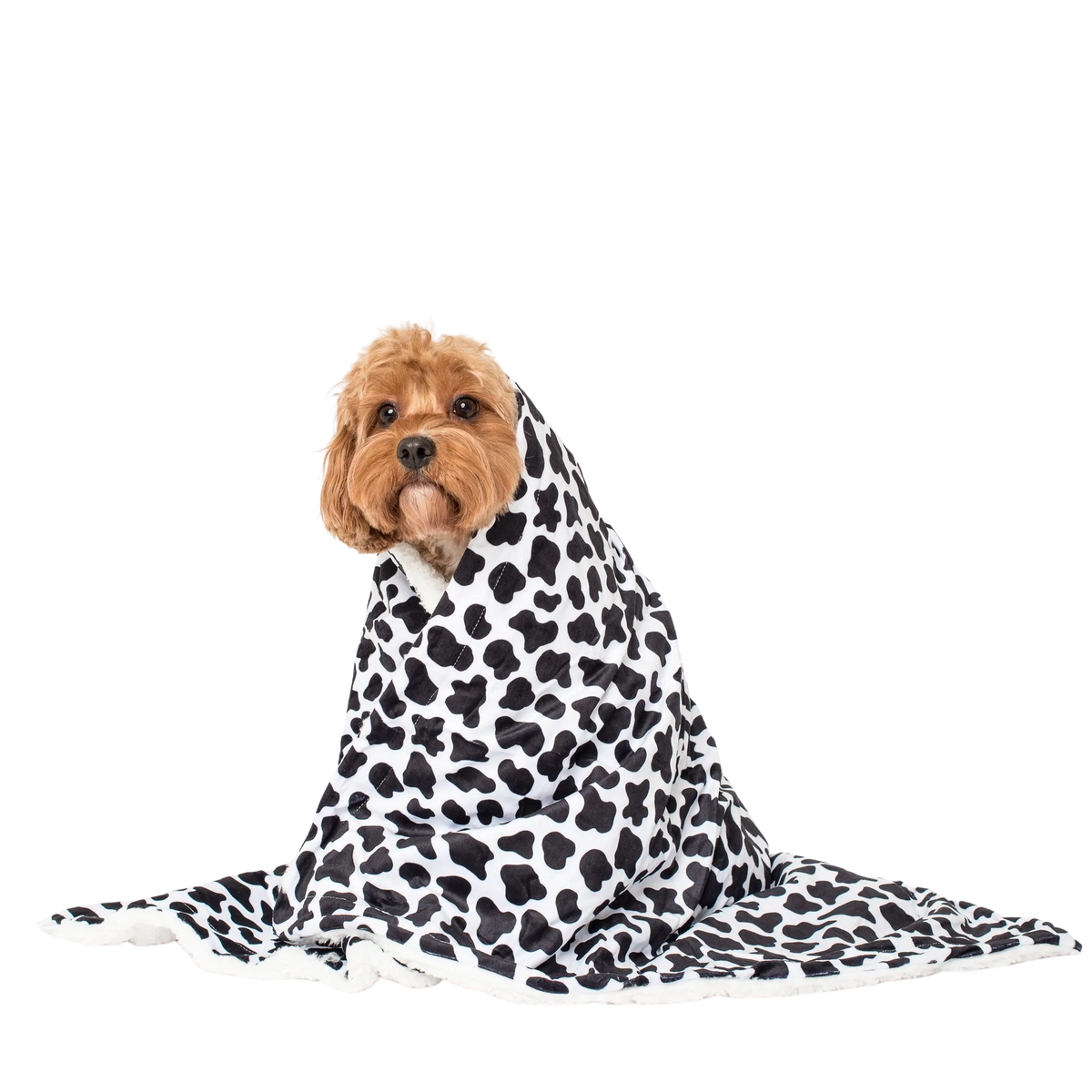 Pablo & Co Moo Moo Dog Blanket – Upmarket Pets Melbourne