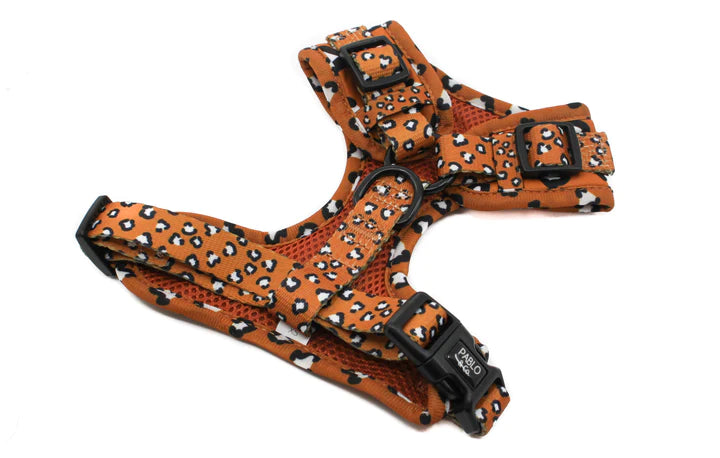 Pablo & Co Adjustable Harness That Leopard Print – Upmarket Pets Melbourne