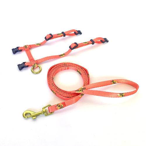 Anipal Bertie The Bee Cat Harness & Lead – Upmarket Pets Melbourne
