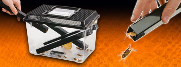 Exo Terra Cricket Pen – Upmarket Pets Melbourne