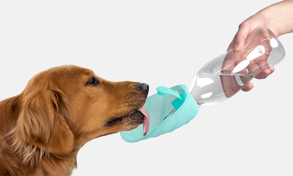 United Pets Leaf Portable Water Dispenser – Upmarket Pets Melbourne